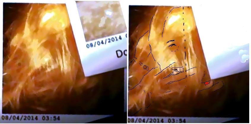 Lisanne froon kris kremers all photos - eroshell